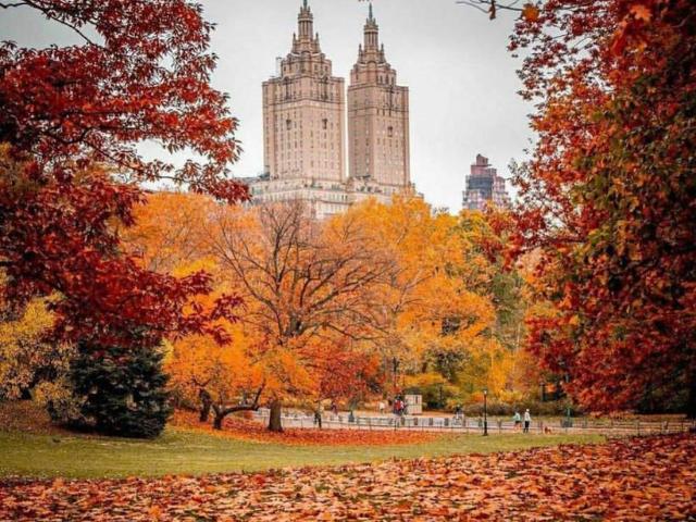 200 West 56th Street, Unit 29309PH