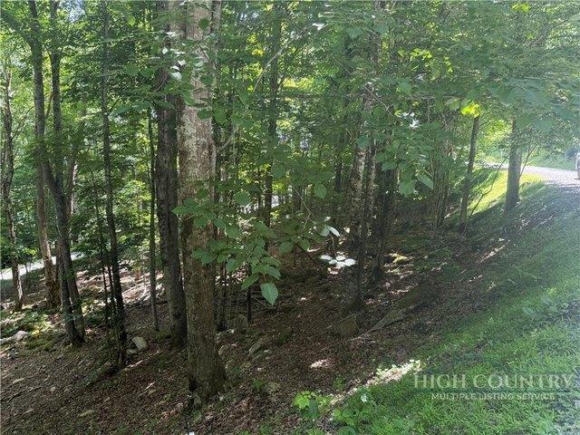 200 Wild Daisy Rd, Beech Mountain, NC 28604
