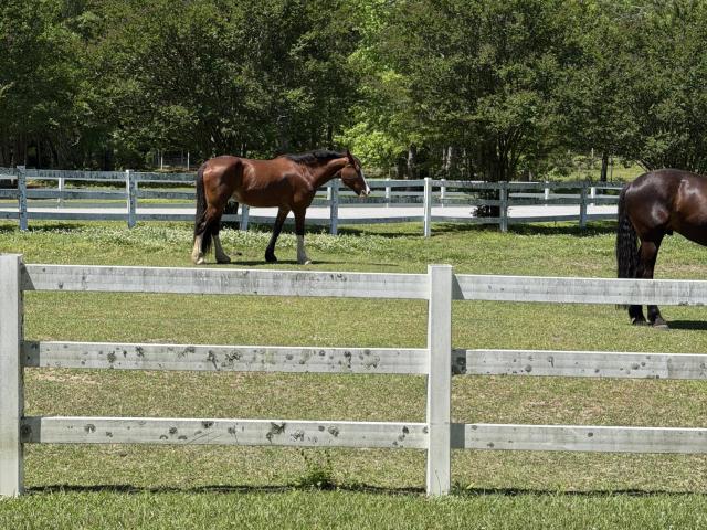 200 Yearling Drive
