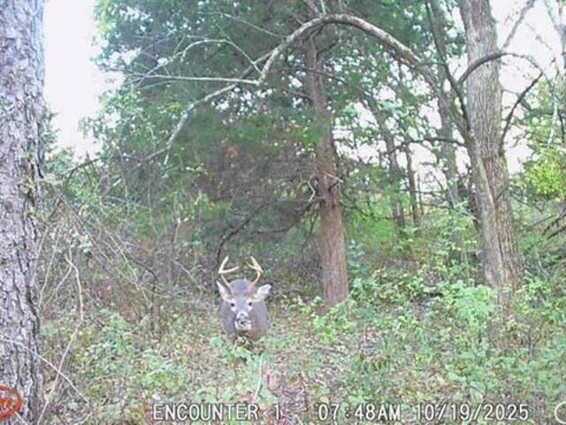 200 Yellowstone Ave, Blockton, IA 50836