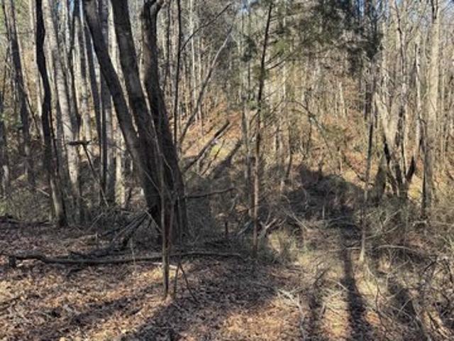 20143 Booler Rd Lot 0, Vance, AL 35490