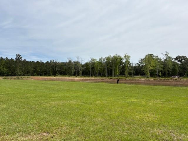 20140 Walden St, Covington, LA 70435 | MLS #2553