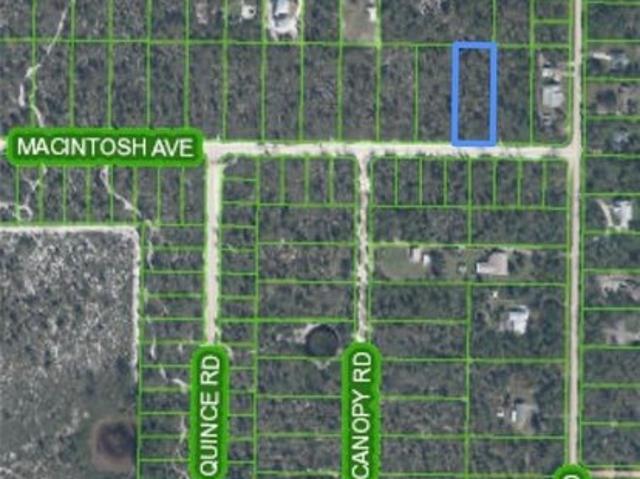 2014 Macintosh Ave, Sebring, FL 33875
