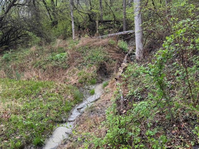 2014 River Road