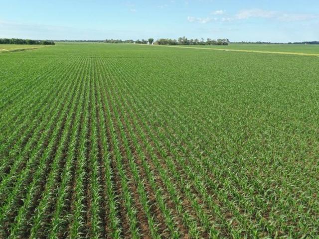 2015 U Rd, Clarks, NE 68628