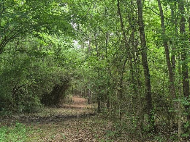 2016 County Road 1865 North
