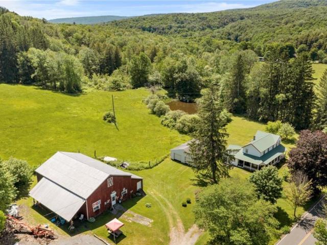 2018 Beaverkill Rd, Livingston Manor, NY 12758 | MLS #888913