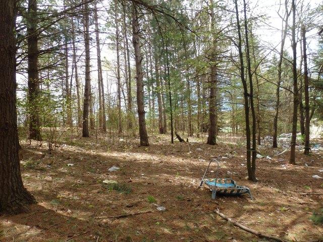 20192 9 Mile Rd, Copemish, MI 49625