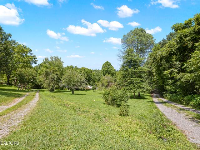 2019 Little Cove Rd