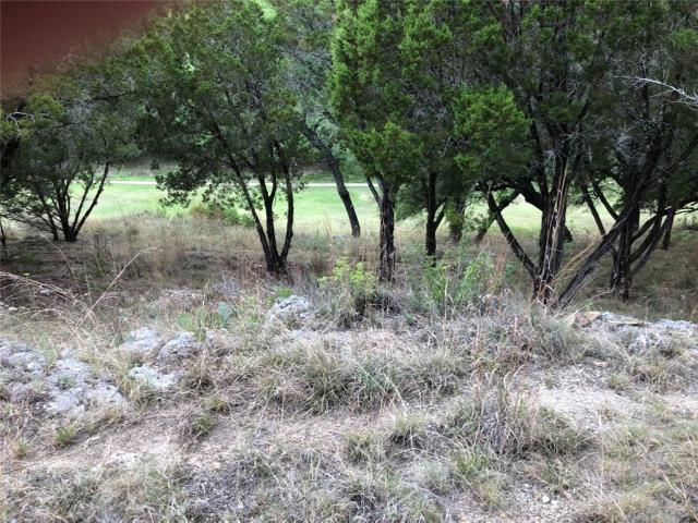 20103 20 Champlain Cove, Lago Vista, TX 78645 | MLS #7775