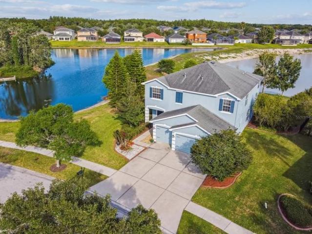 20119 Bluff Oak Blvd, Tampa, FL 33647