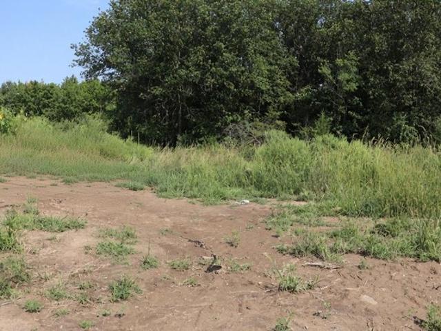 2011 Mulberry Ln, Carver, MN 55315