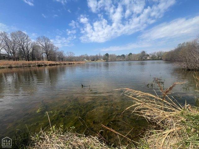 2011 Lakewood Dr S, Piggott, AR 72454