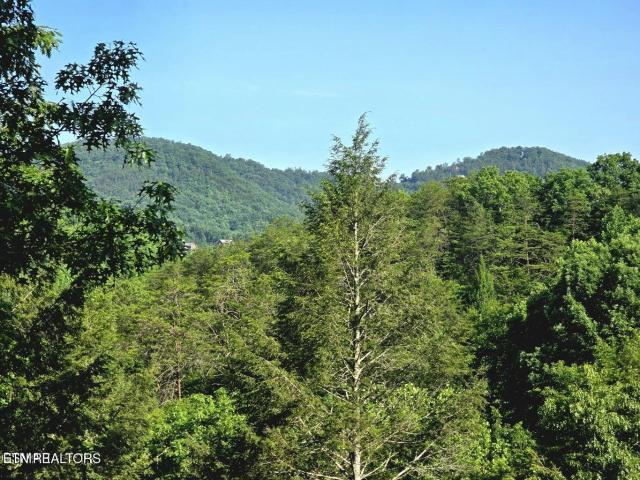 2011 Ridgecrest Loop Lane