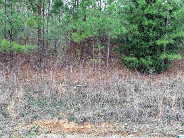 2012 Shannon Rd Lot 1, Hoover, AL 35226