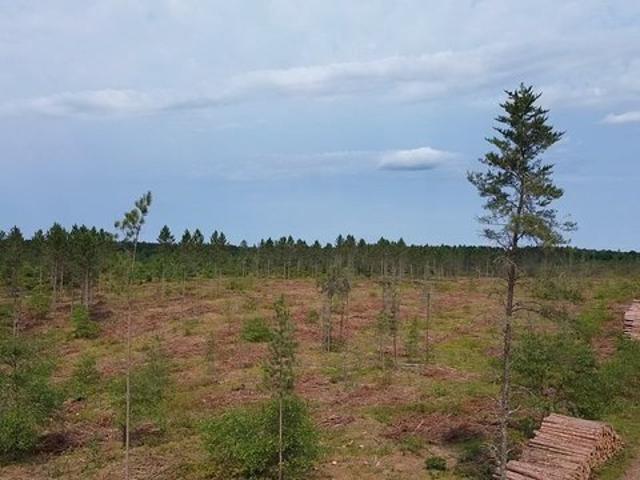 201X Tomahawk Lake Rd, Barnes, WI 54873