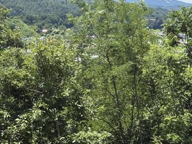 201 Cherry Laurel Dr Unit 201, Pigeon Forge, TN 37863