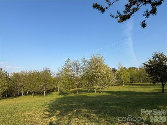 201 Blue Mountain Lane # 1