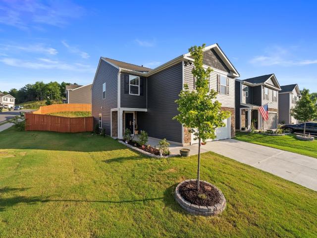 201 Elderberry Lane
