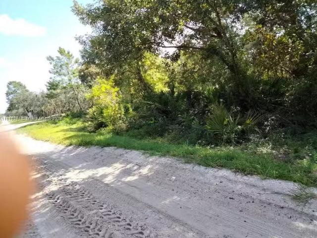 201 Fairhill St, Lake Placid, FL 33852 MLS A11611267