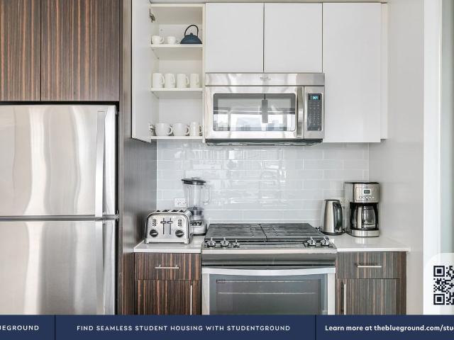 201 North Garland Court Studio Apartment for Rent at 201 N Garland Ct #1017, Chicago, IL 60601 Loop
