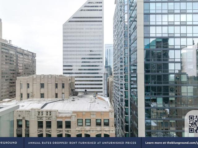 201 North Garland Court Studio Apartment for Rent at 201 N Garland Ct #17, Chicago, IL 60601 Loop