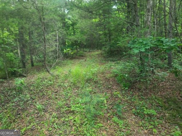 201 Spookhaven Ln, Clarkesville, GA 30523 | MLS #10775