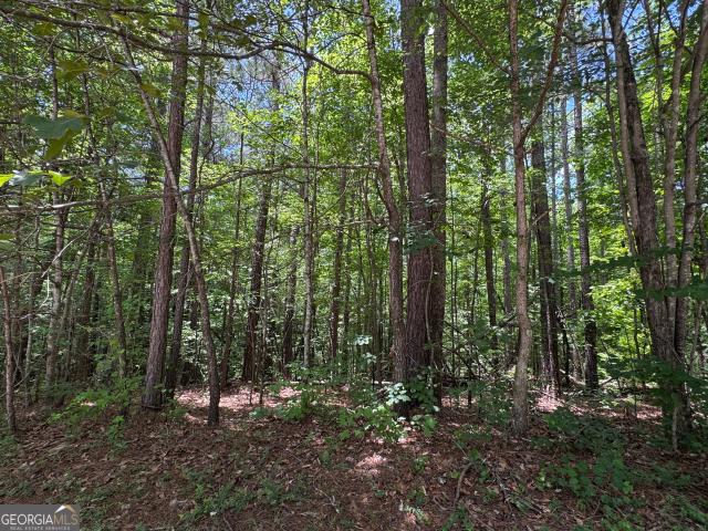 201 Stonebridge Blvd, Bremen, GA 30110 | MLS #10786