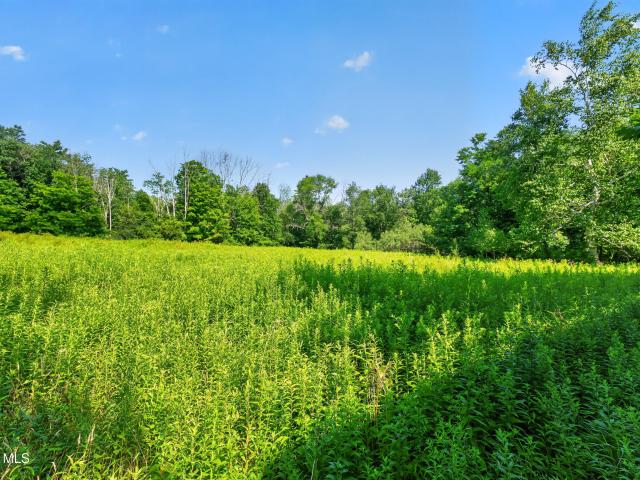 201 Presbyterian Hill Road # Lot 1