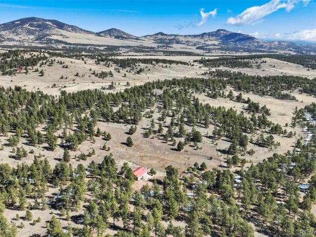201 Terry Ln, Guffey, CO 80820 | MLS #5022