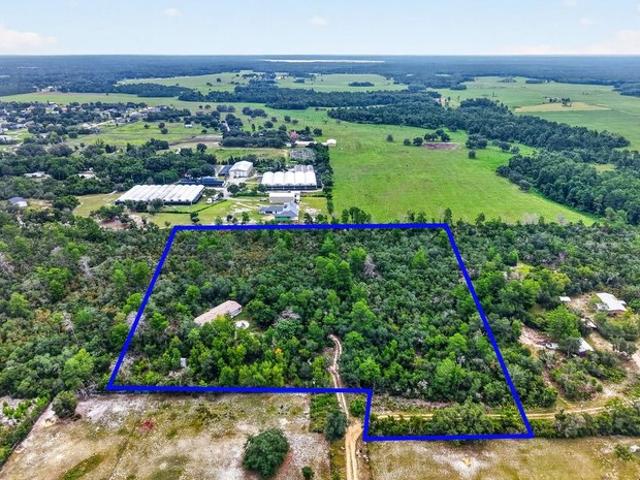 20241 Saltsdale Rd, Umatilla, FL 32784