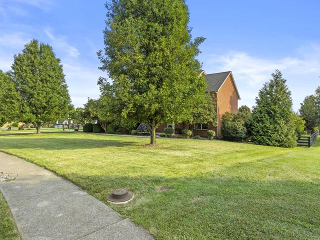 2024 Indigo Drive
