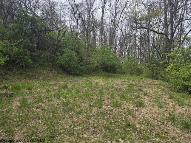 2024 Purinton St, Morgantown, WV 26505