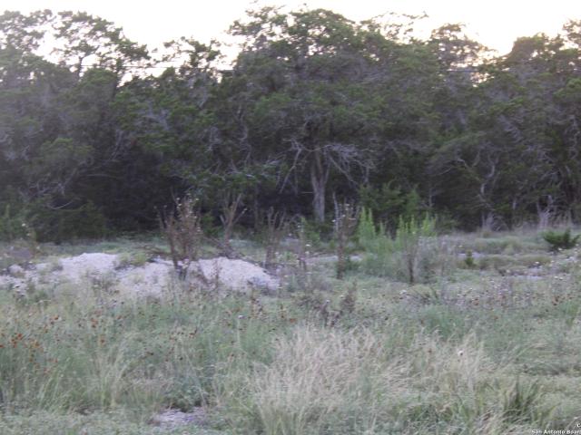 2025 Fuller Dr, Canyon Lake, TX 78133 | MLS #1878