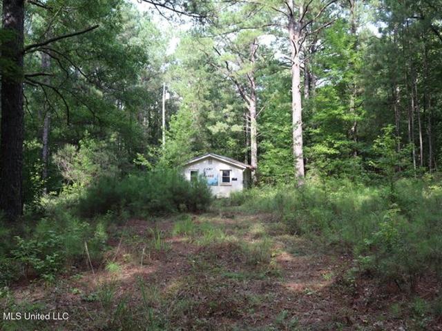 2026 Stump Bridge Rd, Camden, MS 39045