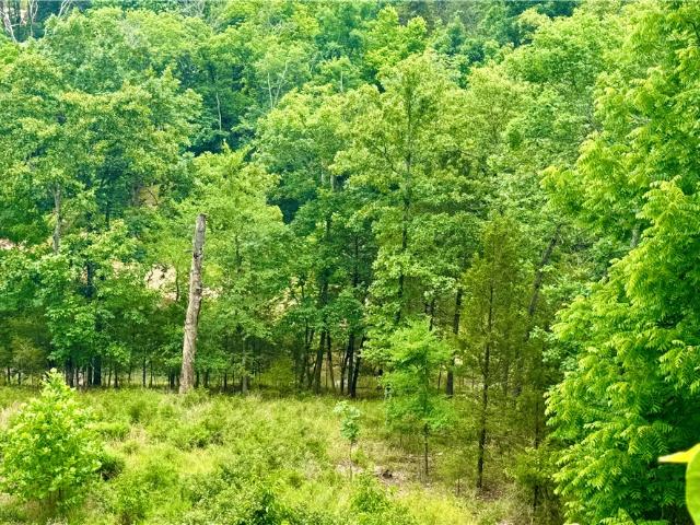 20287 Copper Ridge Road