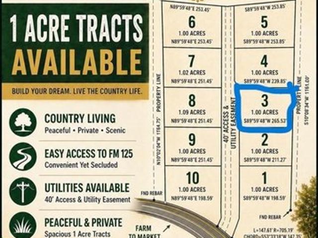 20289 3 Fm 125, McLeod, TX 75565