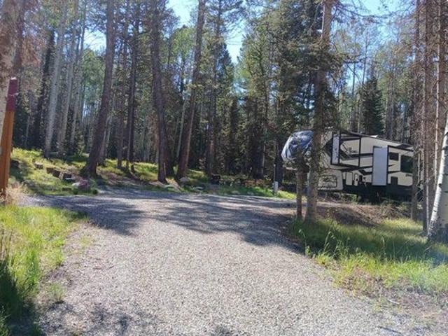 2020 Spruce Rd, Cimarron, CO 81220