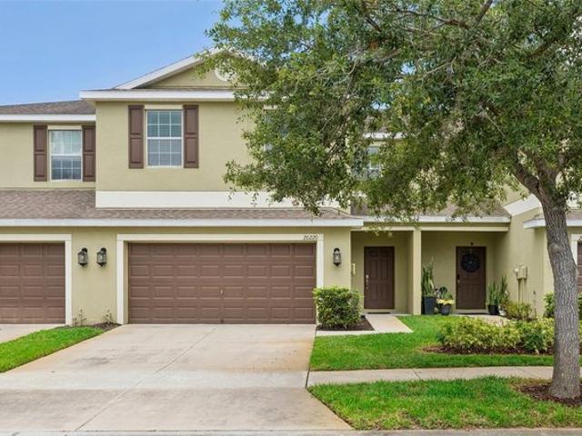 20220 Pond Apple Ln, Tampa, FL 33647