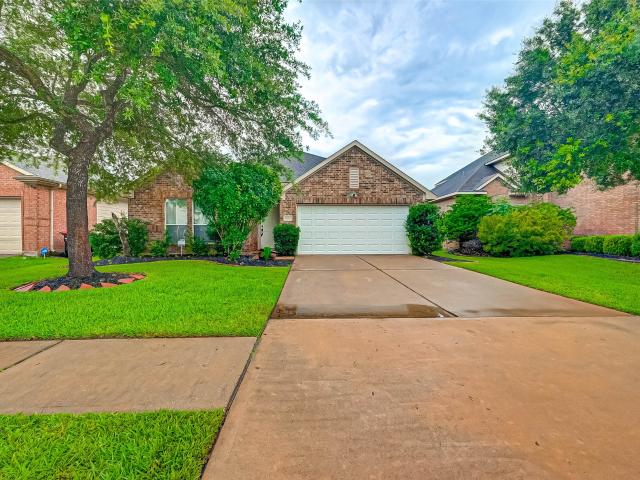 20227 Enchanted Rose Lane