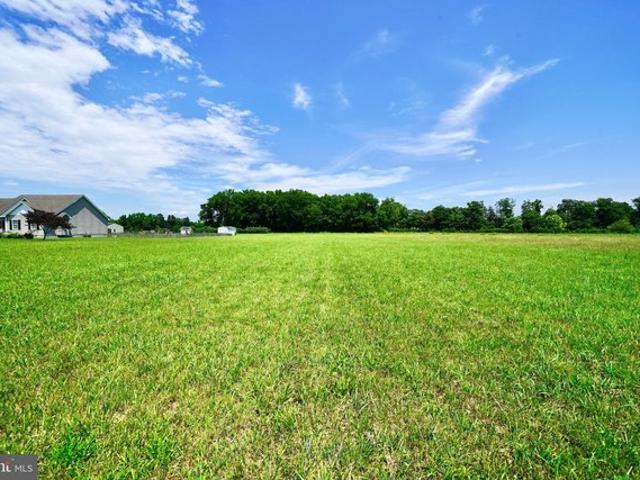 20229 W Piney Grove Rd, Georgetown, DE 19947