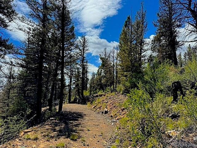 2022 Middle Fork Vista