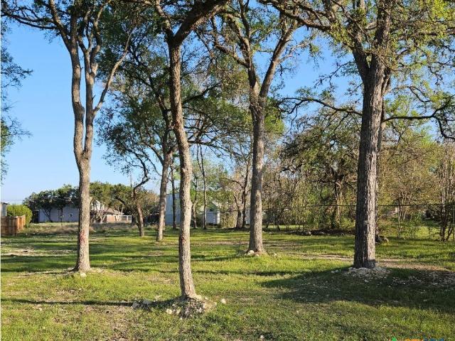 2022 Blueridge Dr, Canyon Lake, TX 78133 | MLS #573909 | Compass
