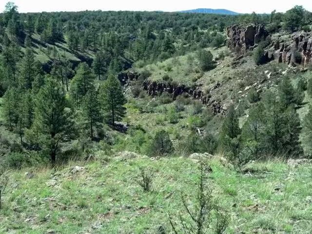 20233001Gk W Honeysuckle Rd, Williams, AZ 86046 MLS 197303