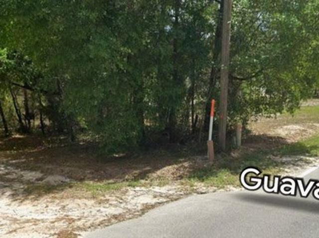 202 Guava Ave, Pomona Park, FL 32181