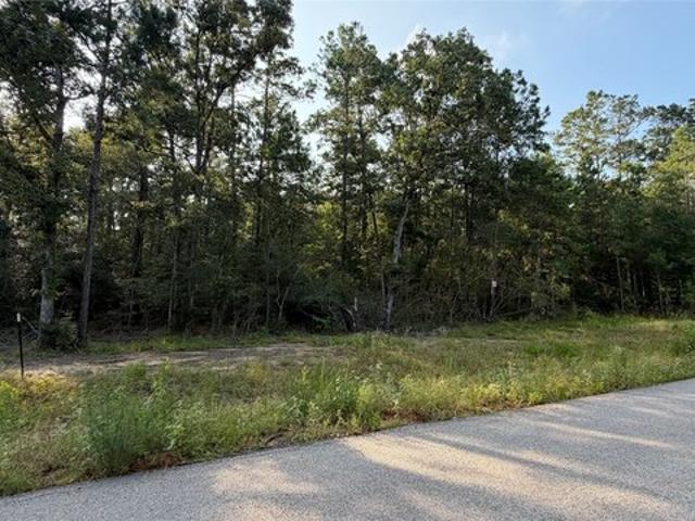 202 Kings Ct, Dayton, TX 77535