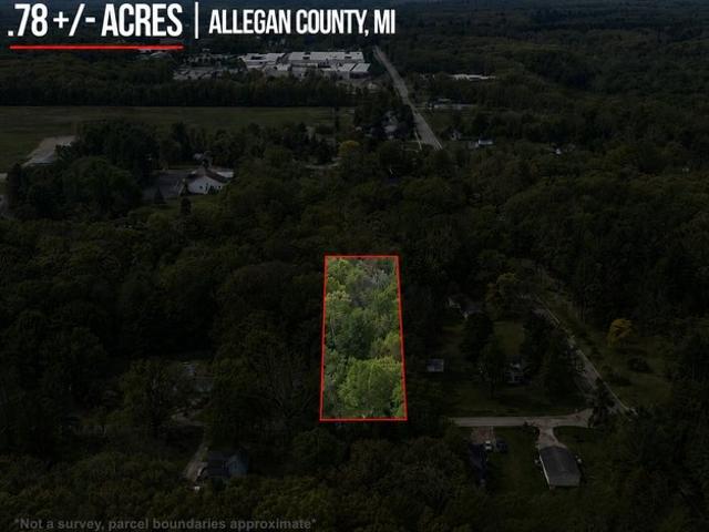 202 Lowe St, Allegan, MI 49010