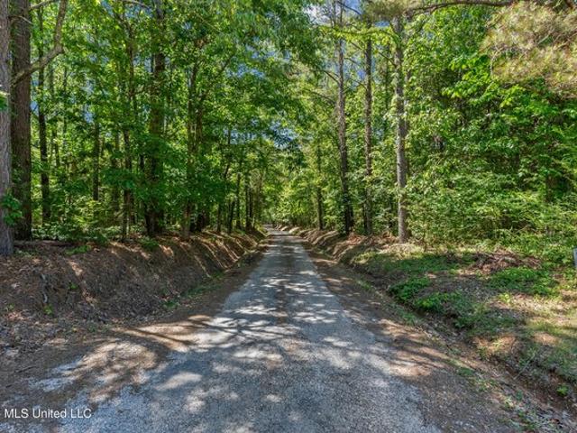 202 Powell Chapel Rd, Holly Springs, MS 38635