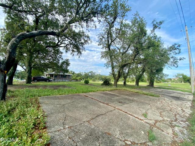 202 Palmetto Lane