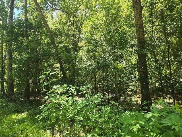 20340 County Road 4155, Orange, TX 77632